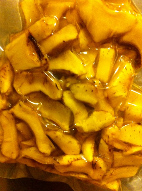 Modernist Cuisine At Home: Smooth Purees, Part I | Jet City Gastrophysics