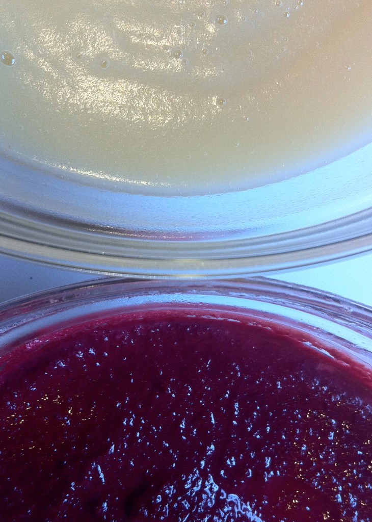 Modernist Cuisine At Home: Smooth Purees, Part I | Jet City Gastrophysics