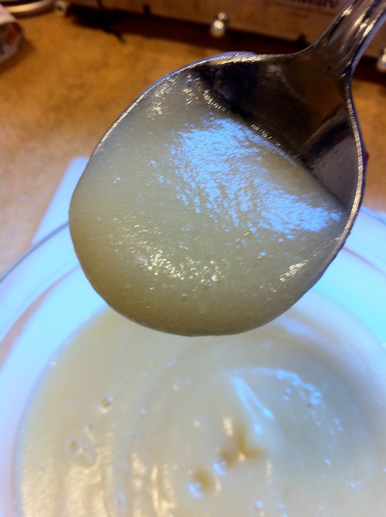 Modernist Cuisine At Home: Smooth Purees, Part I | Jet City Gastrophysics