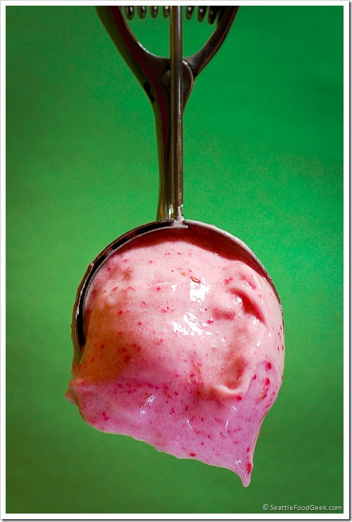 How to make Pacojet-Style Frozen Desserts at Home | Jet City Gastrophysics